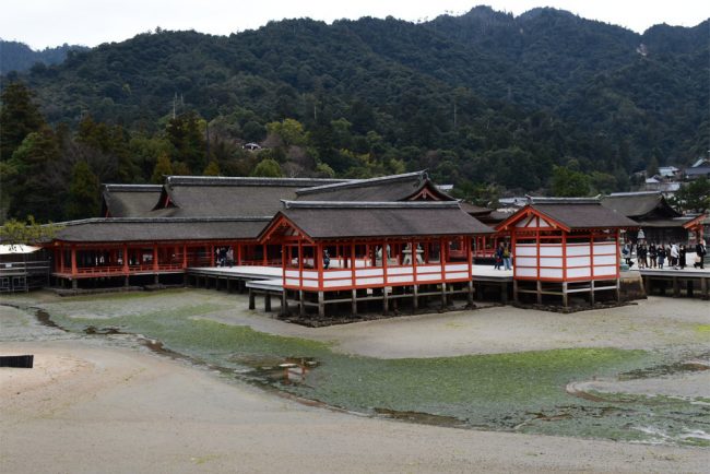 Itsukushima Shrine | Travel Information