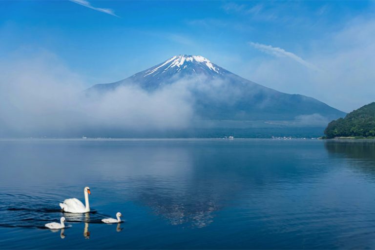 Fuji Five Lakes | Travel Information