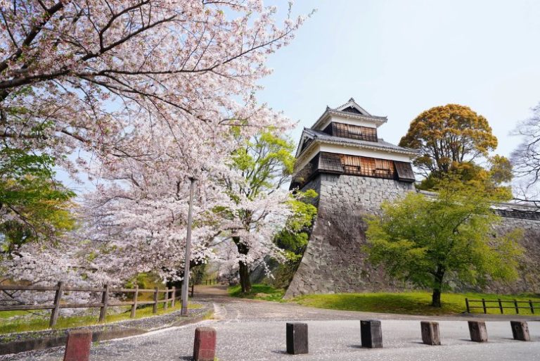 Kumamoto Castle | Travel Information